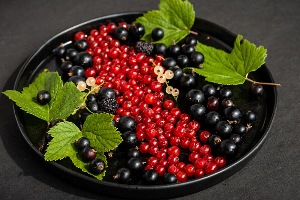Coacaze: beneficii, recomandari, contraindicatii | MedLife