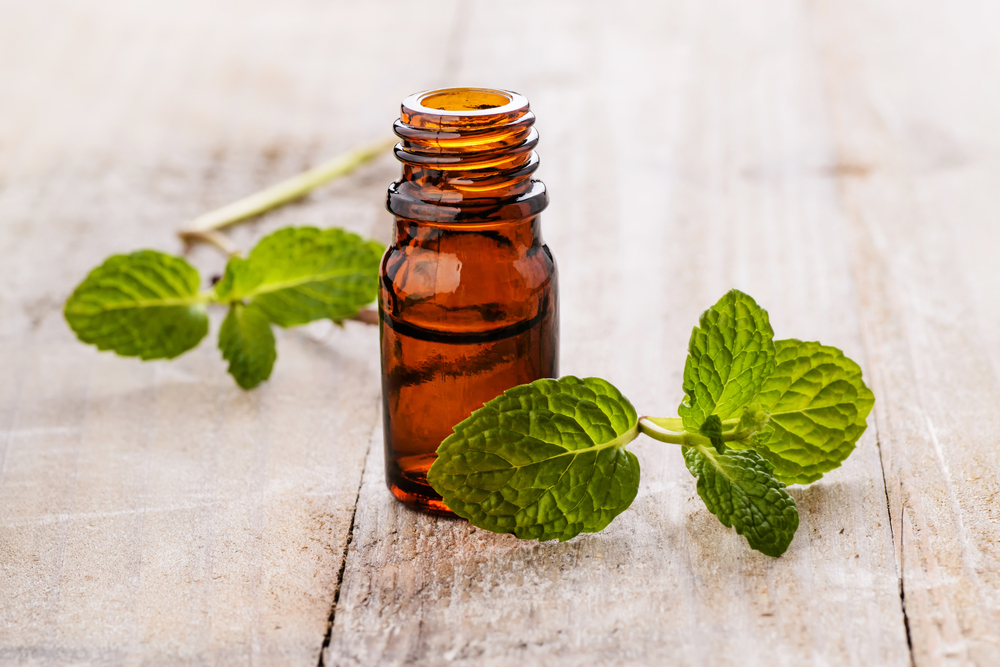 Ulei de menta: beneficii, proprietati, utilizari | MedLife