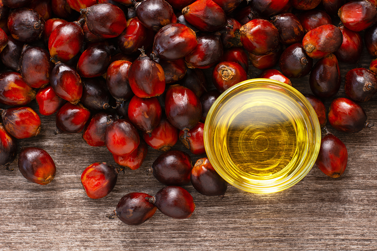 Ulei de palmier: beneficii, proprietati, utilizari | MedLife