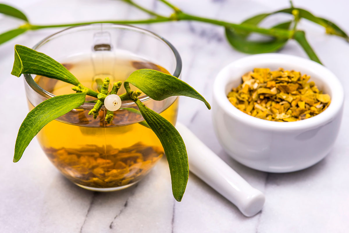 Vasc: Beneficii, Proprietati, Utilizari | MedLife