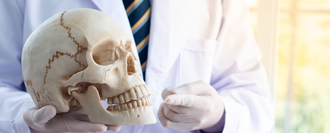 Craniu: rol, functii, afectiuni comune | MedLife