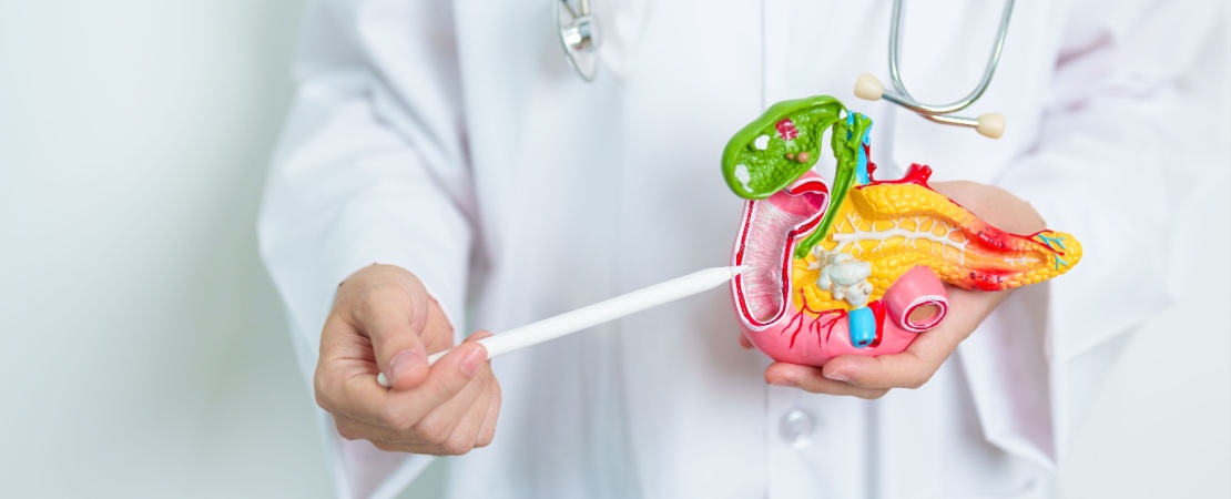 Duoden: functii, rol, importanta pentru organism | MedLife