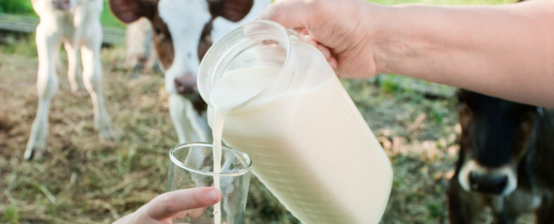 Lapte crud sau pasteurizat: recomandari si contraindicatii | MedLife