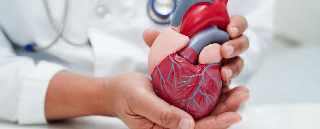 10 lucruri uimitoare despre inima ta | MedLife
