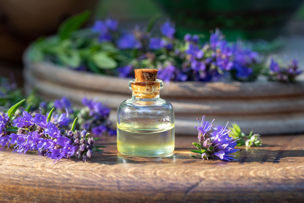 Isop: beneficii, utilizări, contraindicații | MedLife