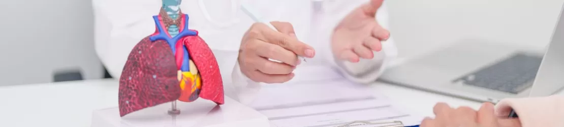 Plamani: rol, functii, afectiuni comune | MedLife