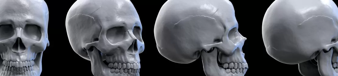 Craniu: rol, functii, afectiuni comune | MedLife