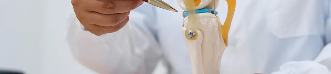 Genunchi: rol, functii, afectiuni comune | MedLife