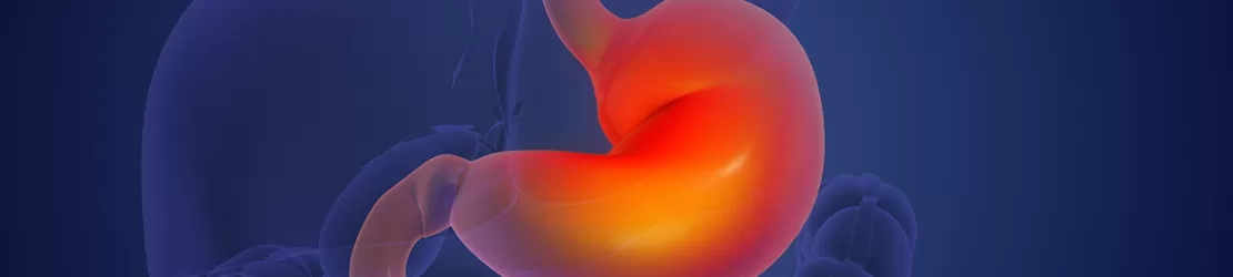 Stomac: rol, functii, afectiuni comune | MedLife