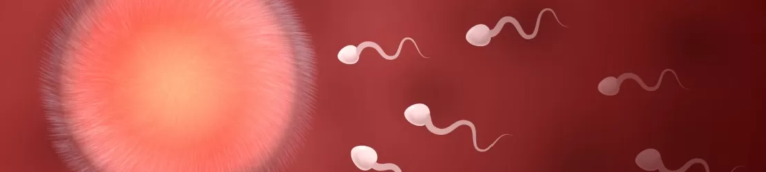 Testul halosperm: ce este si cand este recomandat sa il faci | MedLife