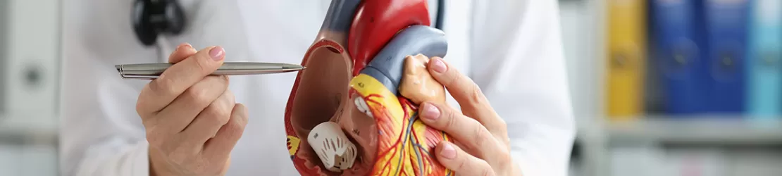 Ivabradina: ce este, indicatii, utilizari si efecte adverse | MedLife